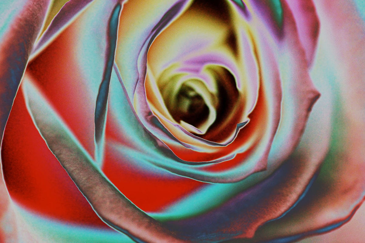 Psychedelic Rose Wall Art | Canvas & Framed Prints – Pixalot
